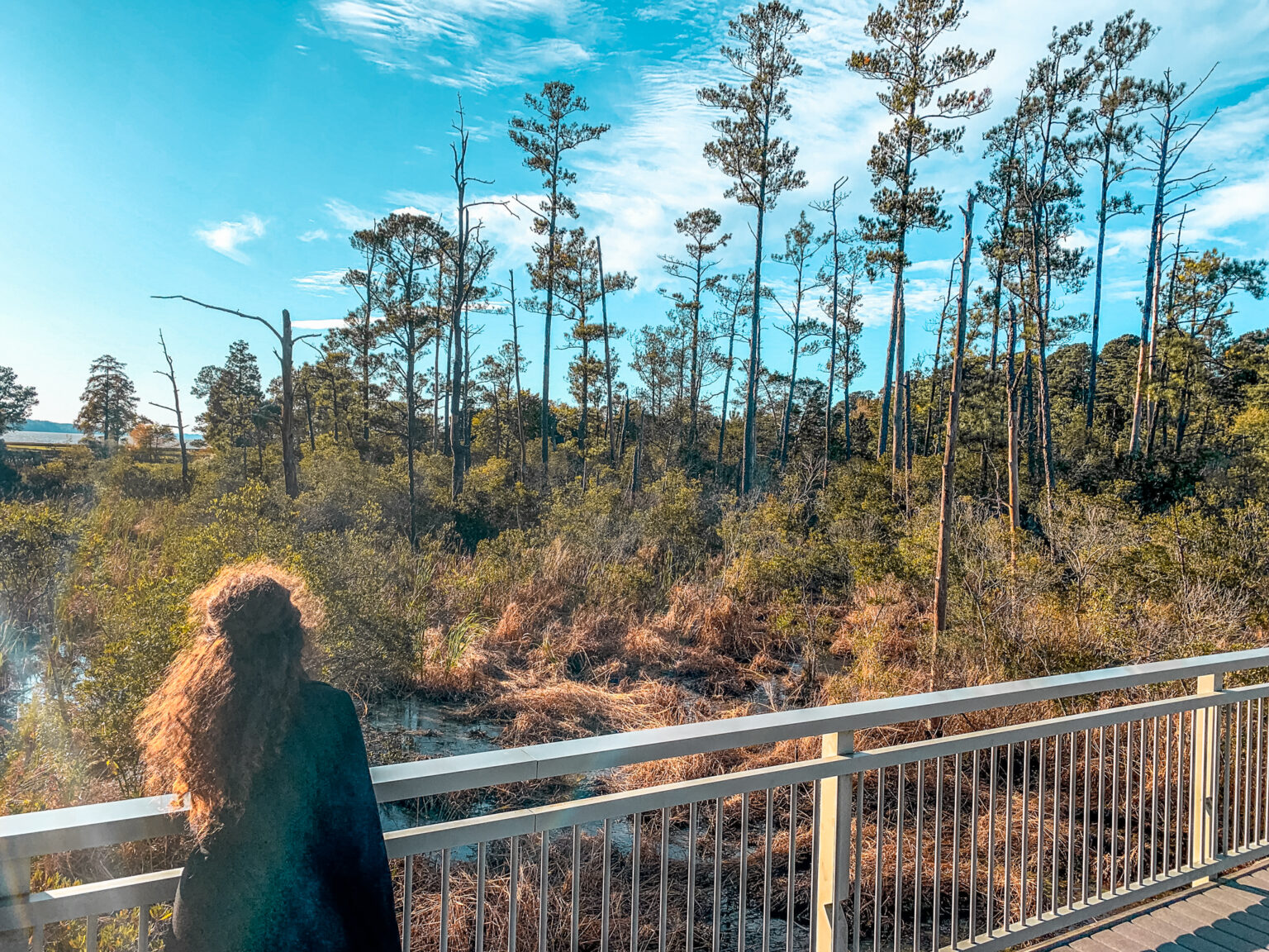 Your Guide To 5 Days Of Things To Do In Williamsburg, VA — The ...