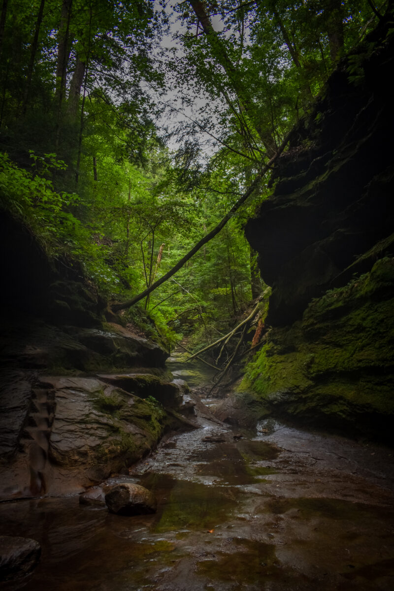 Top Things To Do At Turkey Run State Park In Indiana — The Purposely Lost