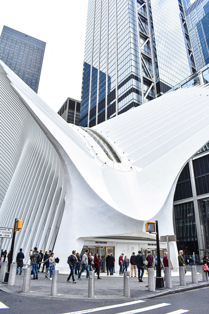 Tips For Visiting The 9/11 Memorial And Museum From An NYC Tour Guide ...