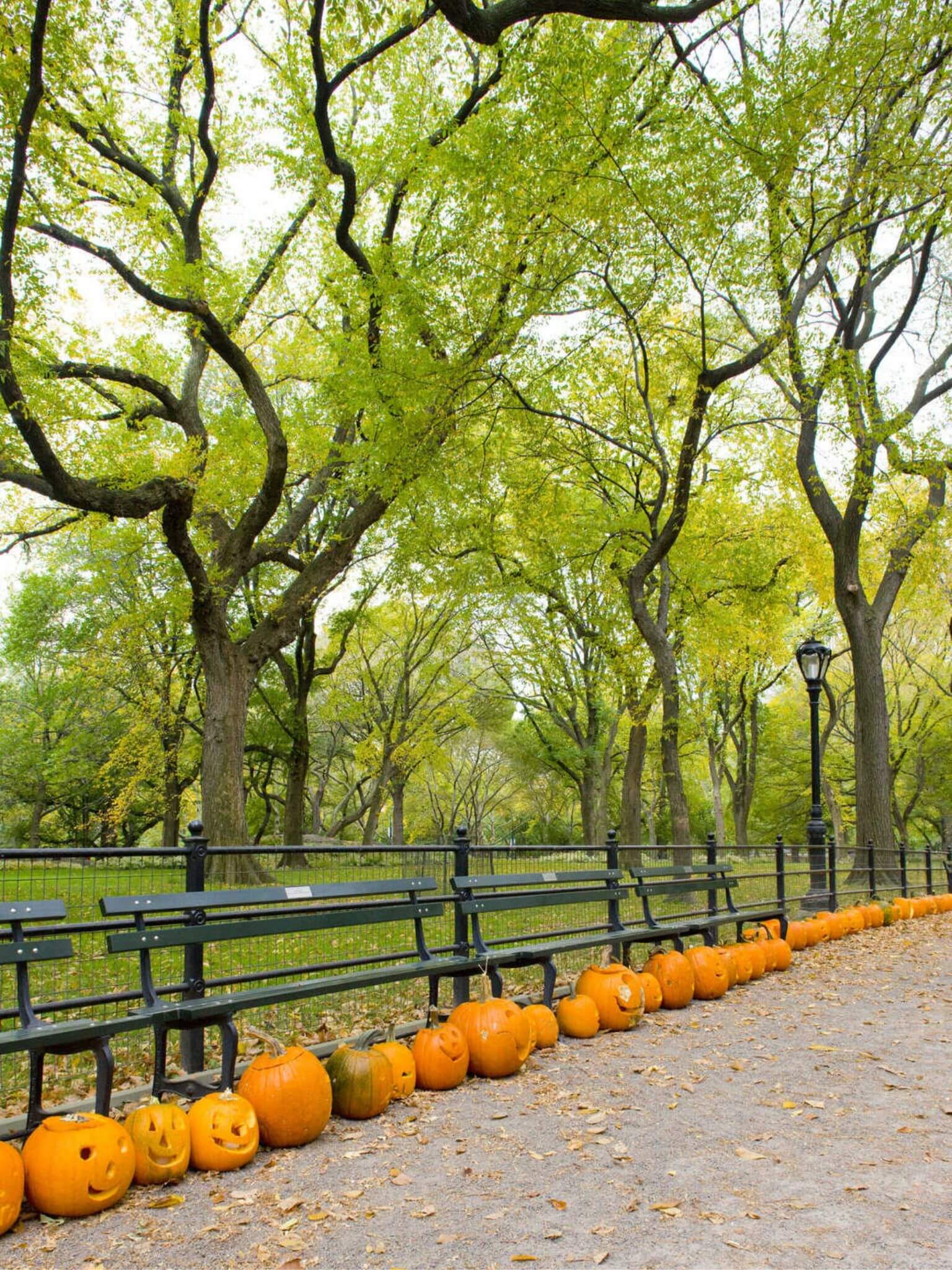35+ Best Things To Do In NYC This Fall (Updated For 2025) — The ...