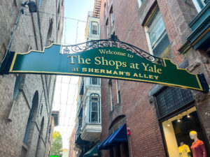 24+ Incredible Things To Do Around Yale University — The Purposely Lost