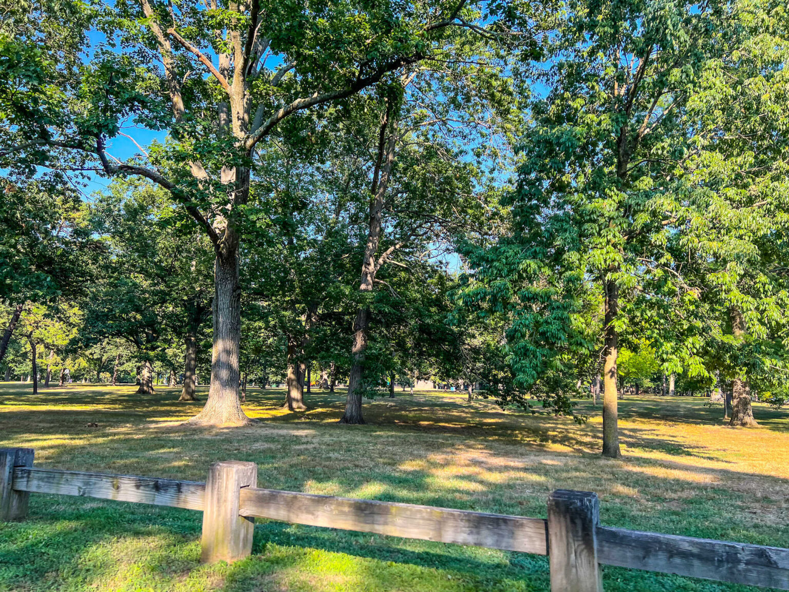 13+ Fantastic Fall Activities In New Haven, Connecticut — The Purposely ...