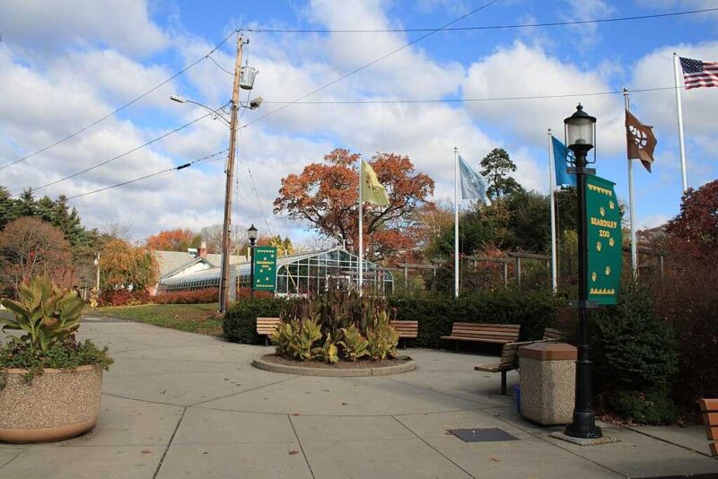 23+ Fantastic Fall Festivals In Connecticut For 2024 — The Purposely Lost