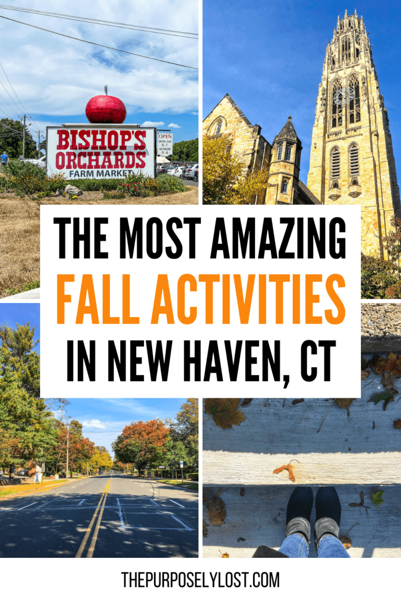 13+ Fantastic Fall Activities In New Haven, Connecticut — The Purposely ...